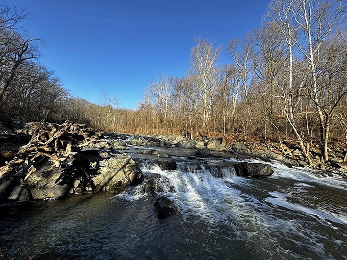 Mother Nature's own water feature puts your neighbor's backyard pond to shame. The Little Patuxent River creates a soundtrack you can't download on Spotify.