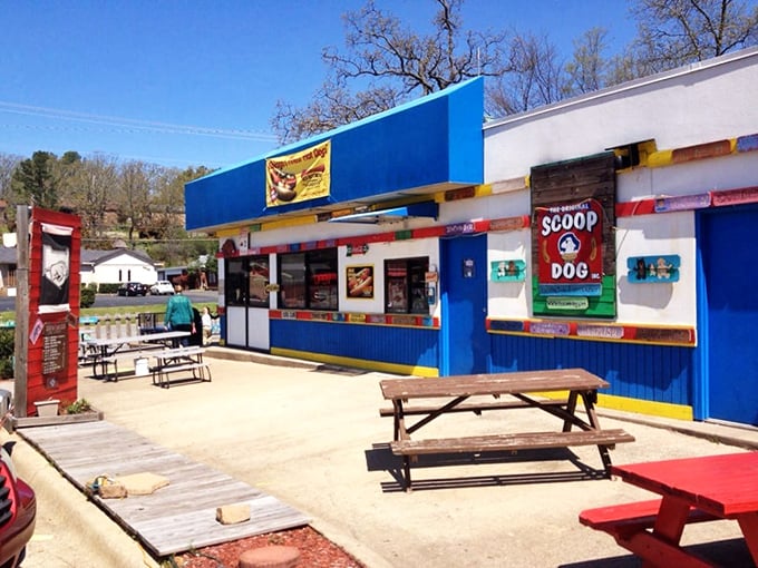 Rustic picnic tables invite you to enjoy your feast al fresco, where every hot dog somehow tastes better under the Arkansas sky.