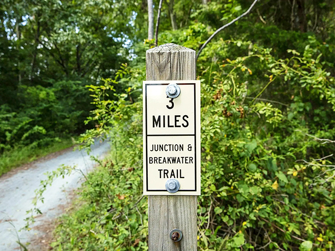 Three miles down, eight to go! These charming trail markers keep you oriented while reminding you how far your legs have carried you.