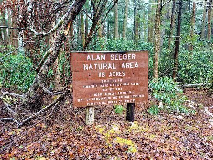 Mother Nature's welcome sign, surrounded by rhododendron thickets that would make even the most dedicated gardener green with envy. 