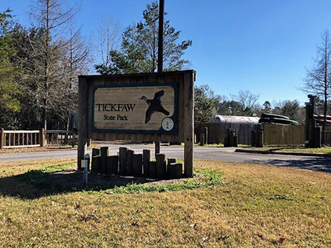 Louisiana's welcome committee doesn't get more authentic than this wooden sentinel, standing guard between civilization and wilderness since 1977.