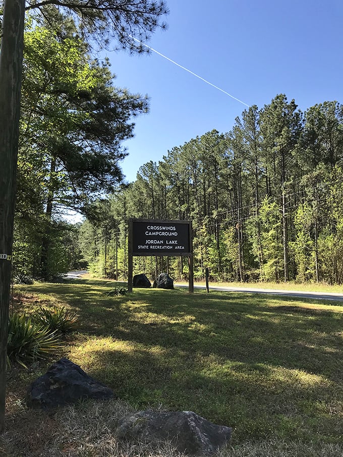 Nature's welcome sign stands sentinel among towering pines, inviting weary urban refugees to press pause on life's chaos.