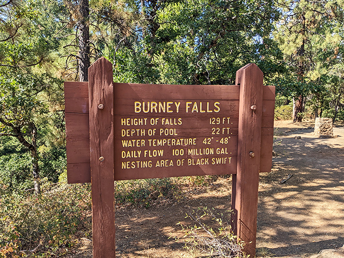 The stats don't lie: 100 million gallons daily, 129-foot drop, and a 100% chance you'll stand here speechless.