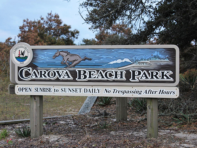 The beach park sign featuring a galloping horse tells you everything you need to know: you've arrived somewhere special.