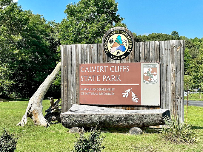 The unassuming entrance sign&mdash;like finding the door to Narnia, except instead of a magical wardrobe, it's a wooden marker promising prehistoric adventures.
