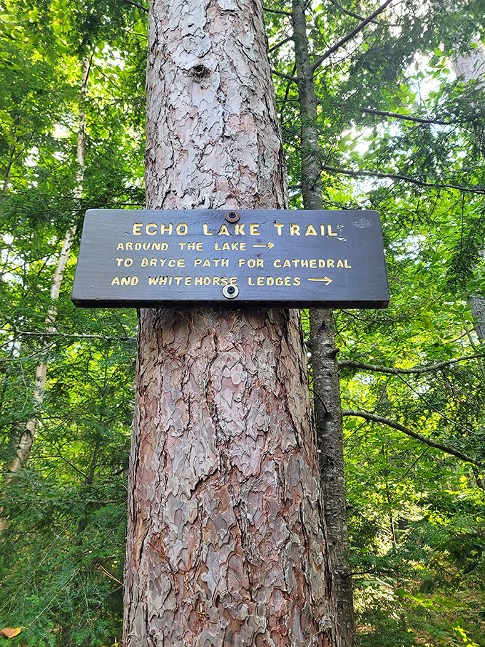Around the lake or up to the ledges? This weathered trail sign has guided countless adventurers through New Hampshire's outdoor cathedral.