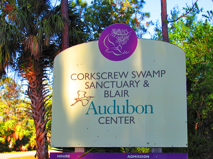 Welcome to paradise! The entrance sign promises adventure while the surrounding palms whisper tales of old Florida.