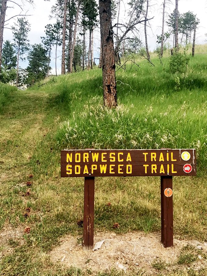 The humble signpost that promises adventure. Yellow markers lead to views that would make Colorado jealous of its Nebraska neighbor.