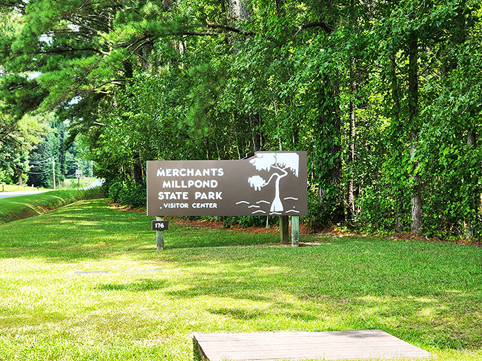 The unassuming entrance sign hardly prepares you for the prehistoric wonderland waiting just beyond these trees.