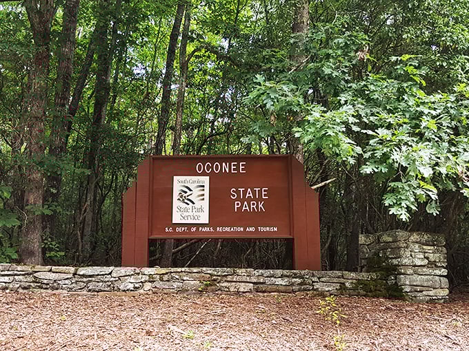 The entrance sign stands like a woodland gatekeeper, promising adventures that won't involve checking email or sitting in traffic.