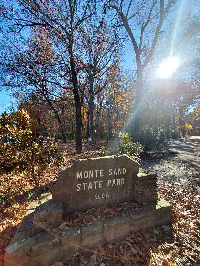 "SLOW" isn't just a suggestion&mdash;it's the park's philosophy. This sun-dappled entrance invites you to downshift from highway speed to nature's pace.
