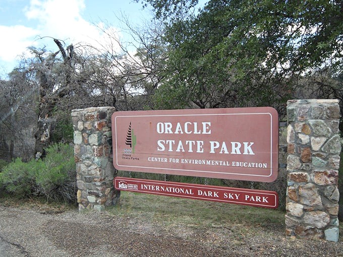 Not just any park sign&mdash;this one proudly announces its celestial superpower. International Dark Sky status is the astronomical equivalent of a Michelin star.