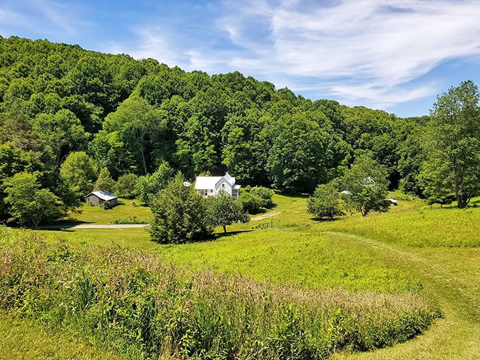 The historic Miller Farmstead nestles into the landscape like it grew there naturally, a postcard from Appalachia's resilient past.