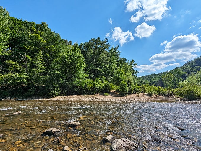 Crystal clear waters of the Buffalo National River invite you to dip your toes or cast a line, while the surrounding forest stands guard like patient sentinels.