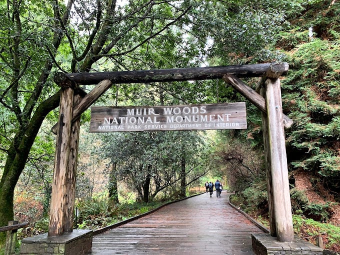 Nature's red carpet treatment &ndash; the boardwalk entrance invites you into a world where trees remember the Middle Ages and humans are just passing through.