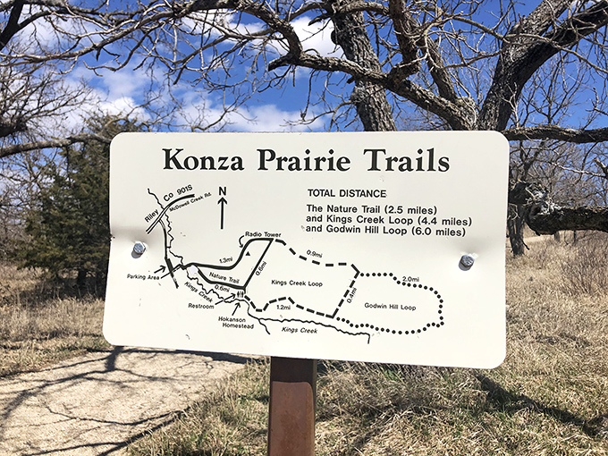 Nature's roadmap to paradise. Three loops offer varying degrees of adventure, from "Sunday stroll" to "I earned that pizza tonight."