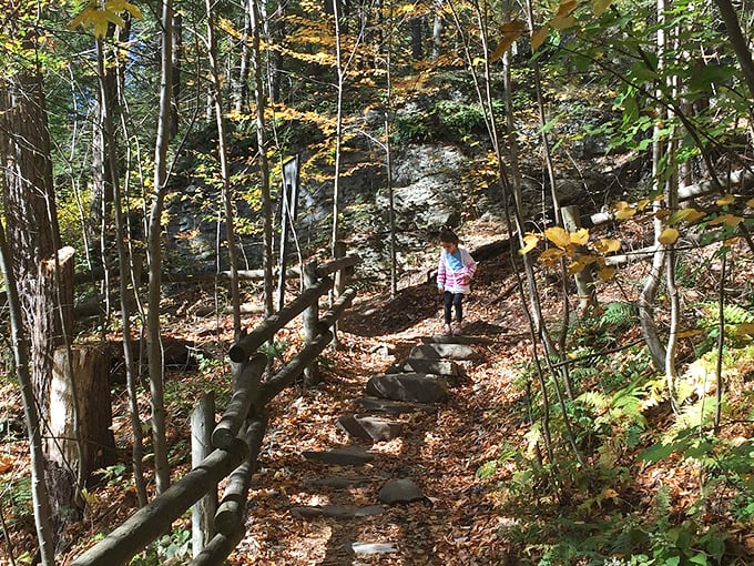 Nature's stairmaster comes with better views than any gym. Families navigate the well-maintained trail, each step bringing them closer to Pennsylvania's tallest waterfall. 
