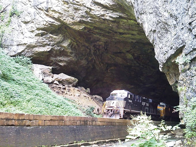 The ultimate rock star entrance: a Norfolk Southern train emerges from the limestone cathedral, stealing the geological spotlight.