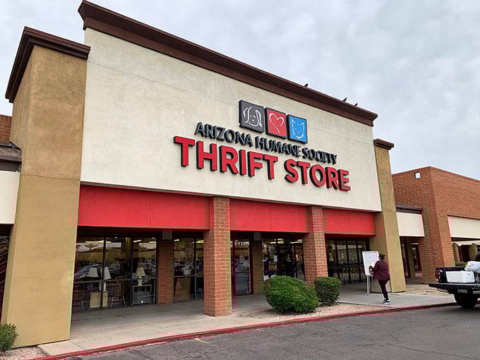 Arizona Humane Society Thrift Store: Where retail therapy meets actual therapy &ndash; every purchase helps furry friends find forever homes.