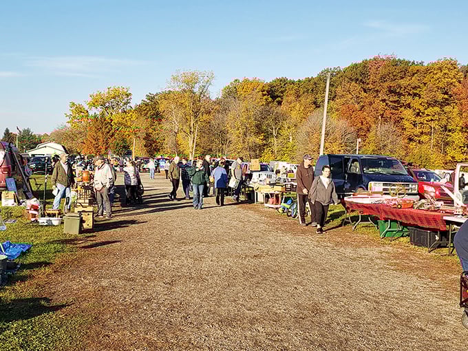 Fall foliage creates the perfect backdrop for treasure hunting at Armada Flea Market. Like a small village of deals that appears as if by magic!