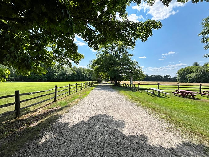 Tree-lined pathways guide visitors through Borderland's historic estate, where rustic fences frame the perfect countryside stroll.