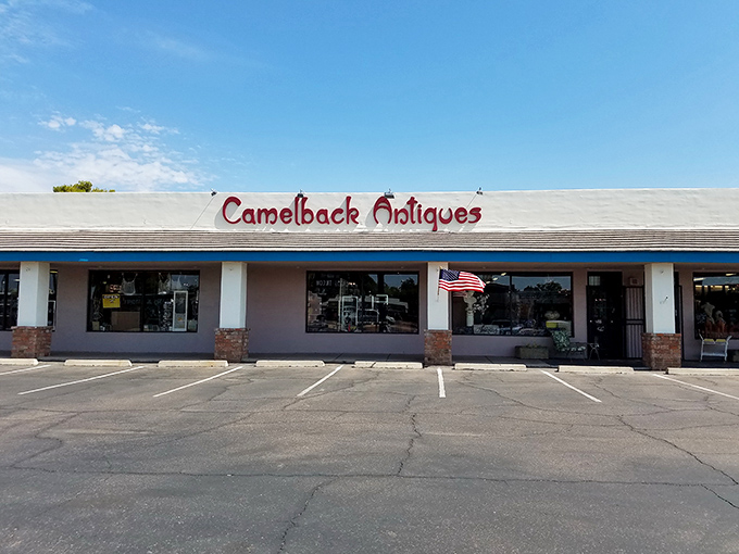 Camelback Antiques' unassuming storefront hides a universe of mid-century treasures. Like finding a secret passage in your favorite childhood book!