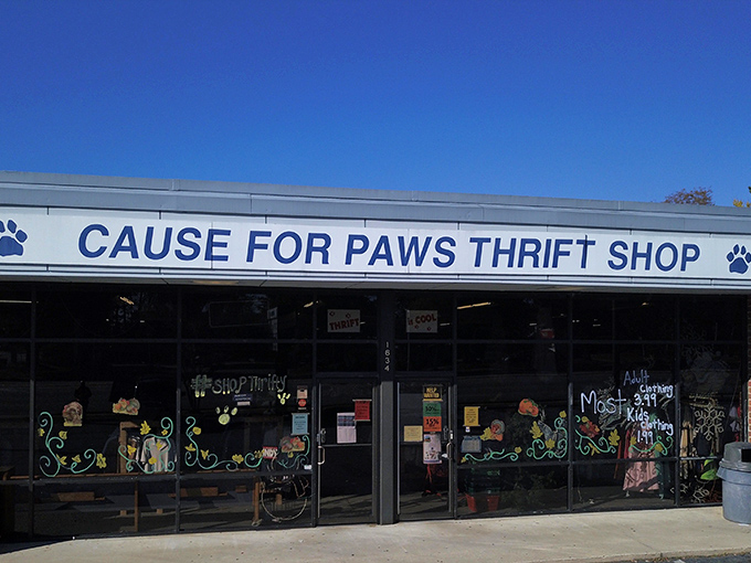Cause for Paws combines treasure hunting with animal rescue. Shop here and your wallet isn't the only thing that purrs with delight.