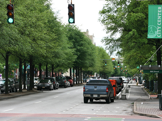 Tree-lined avenues in Chattanooga offer both beauty and budget savings. Nature and affordability creating the perfect retirement backdrop.