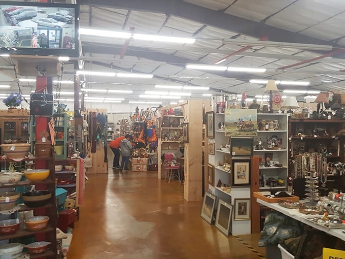 Inside Crazy Frank's, shelves of curiosities await like an organized Aladdin's cave. Treasure hunters, prepare to dive in!