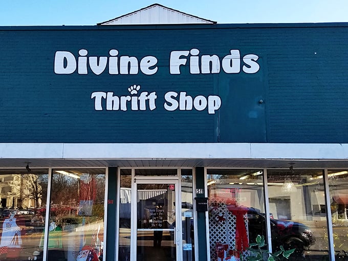Divine Finds' bright blue exterior is like a beacon of bargain hope in Sanford's shopping landscape.