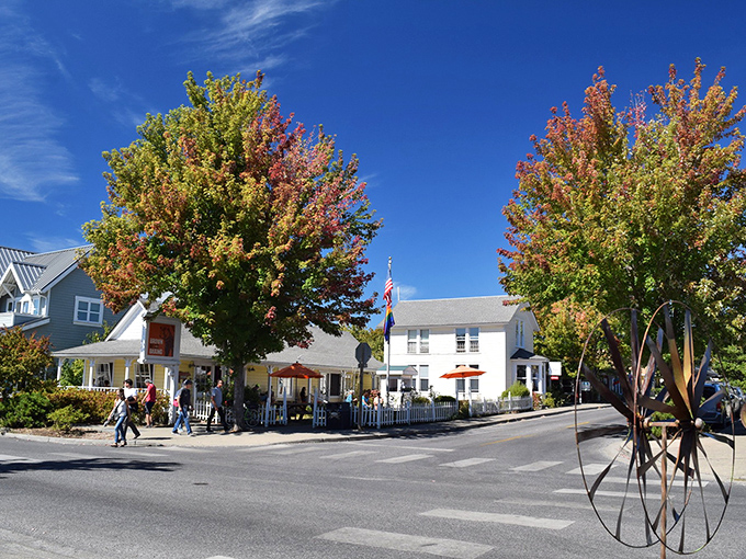Eastsound: The heart of Orcas Island showcases charming buildings nestled under vibrant autumn trees, a Norman Rockwell painting come to life.