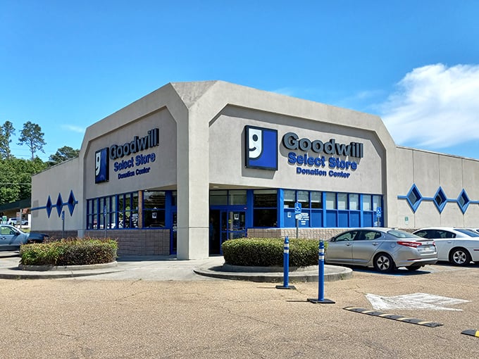 Goodwill: "Simple on the outside, treasure trove on the inside. BIG THRIFT indeed - the name doesn't lie!" 