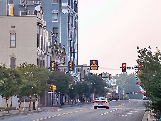 Baseball under the lights - where America's pastime meets Mississippi hospitality and hot dogs taste better than at Yankee Stadium. 