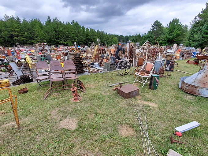 A treasure hunter's paradise where rusty gold stretches to the horizon. Somewhere in this field is the perfect conversation piece for your living room!