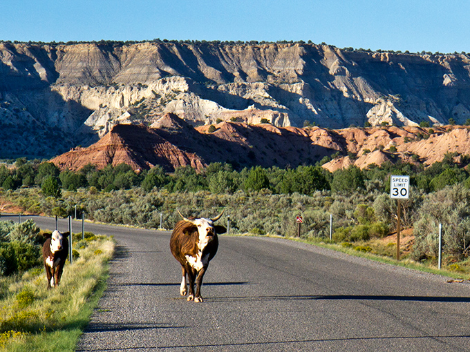 Kodachrome Basin State Park: Nature's skyscrapers rising from the desert floor. No architect could design something this magnificent!