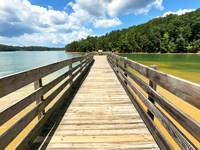 This wooden walkway isn't just a pier—it's an invitation to slow down and reconnect with what matters at Lake Hartwell.