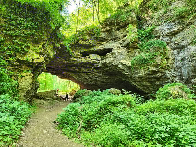 Nature's cathedral! This massive stone arch at Maquoketa Caves makes you feel like you've stumbled into Middle-earth.