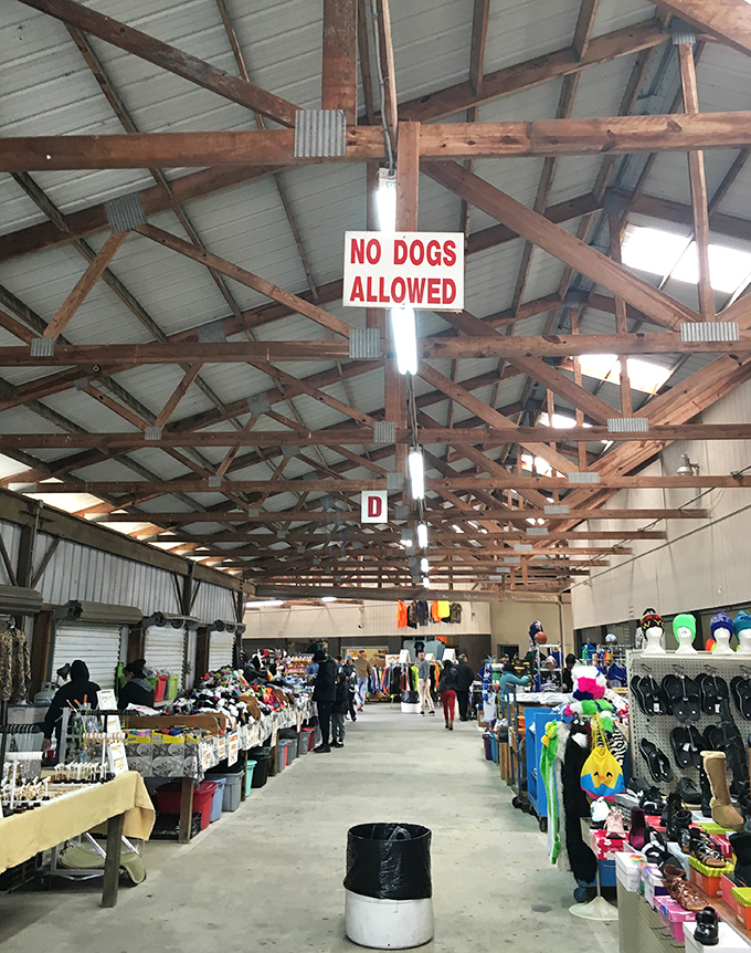 The "No Dogs Allowed" sign hangs above Miller's Flea Market's indoor section, where organized chaos reigns and every aisle promises unexpected discoveries.