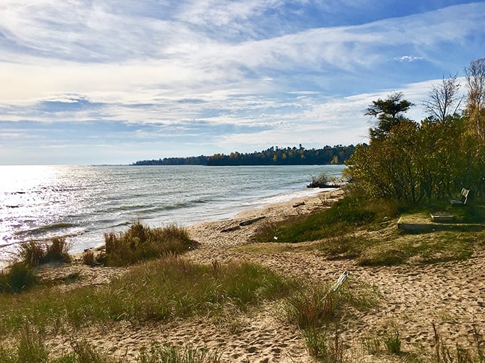 Natural Bridge's magnificent stone arch stands as Wisconsin's answer to Utah's famous formations, minus the desert heat!