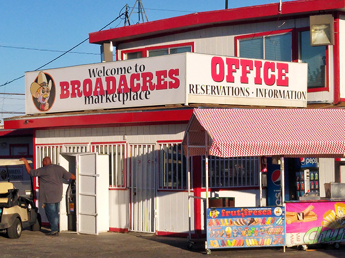 Welcome to retail therapy, desert-style! The Outdoor Swap Meet transforms asphalt into a bargain hunter's paradise.