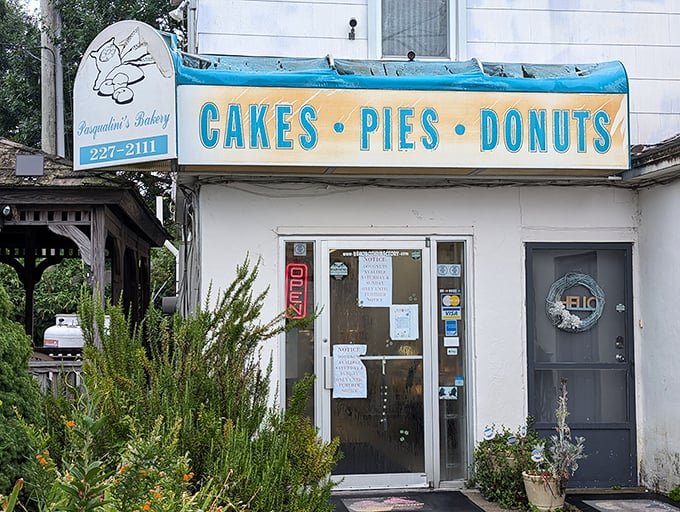 Pasqualini's blue awning promises the holy trinity of baked goods—where donuts aren't just made, they're crafted with small-town devotion.