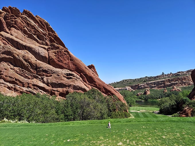 Red rocks performing their ancient yoga poses at Roxborough. Been stretching like this for millions of years without a single complaint!
