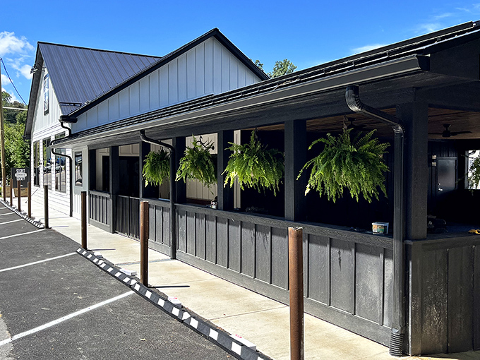 Secret Sandwich Society's rustic porch feels like the perfect hideaway, complete with hanging ferns that whisper, "Stay awhile."