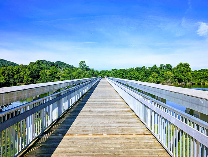 Seven Islands' bridge offers the perfect runway for both hikers and birds &ndash; though only one gets the scenic flyover view!