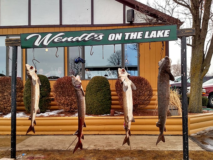 Wendt's on the Lake: Fresh catch of the day&mdash;displayed the Wisconsin way! These fish aren't hanging around for decoration; they're showing off today's menu.