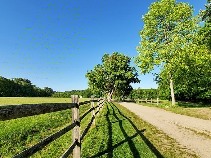 Sunlight dances through the trees along Borderland's peaceful trails, creating a postcard-worthy scene straight out of a period film.