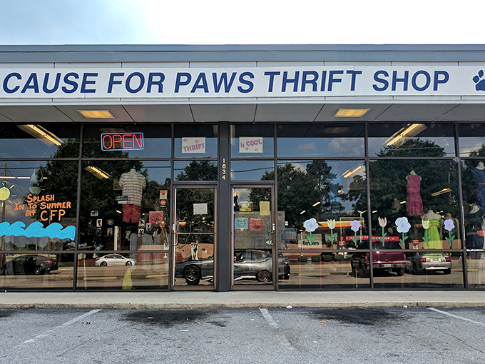 The cheerful storefront of Cause for Paws beckons with promises of unexpected finds. Thrifting with a purpose!