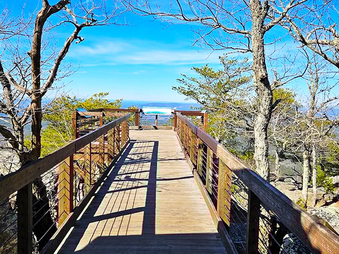 Standing at Alabama's highest point feels like being on a wooden runway to heaven, minus the jet lag.