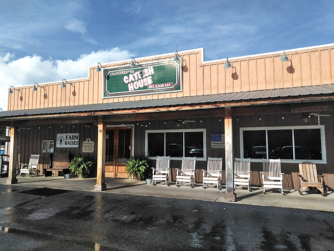 David's Catfish House looks like it was plucked from a Fannie Flagg novel &ndash; rustic, welcoming, and promising comfort food that hugs your soul.