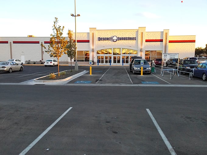 This isn't just a store&mdash;it's a cathedral of secondhand possibilities with pews of furniture waiting for devotees.